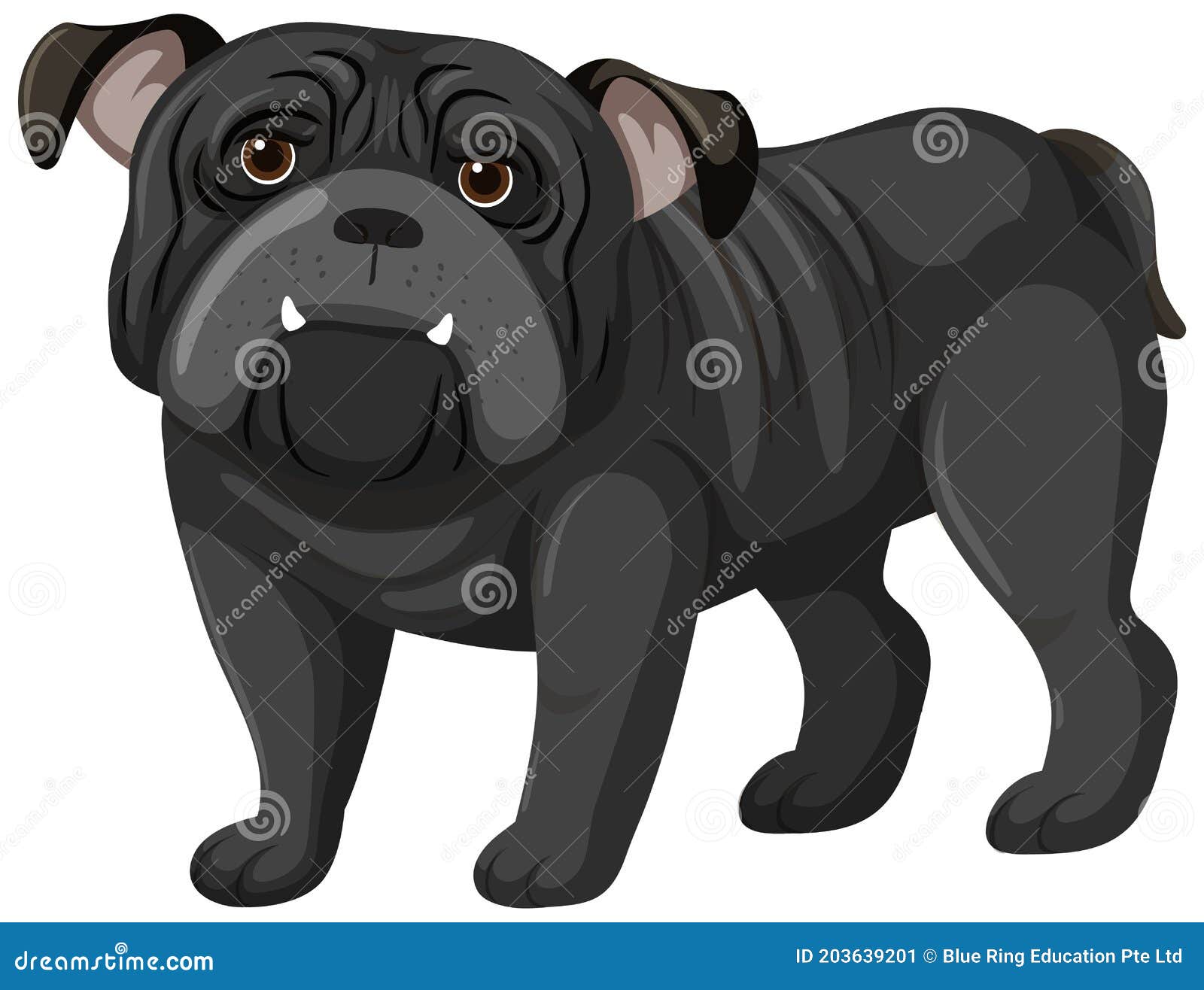 Pig Boxer. Cartoon Style. Isolated Image On White Background ...