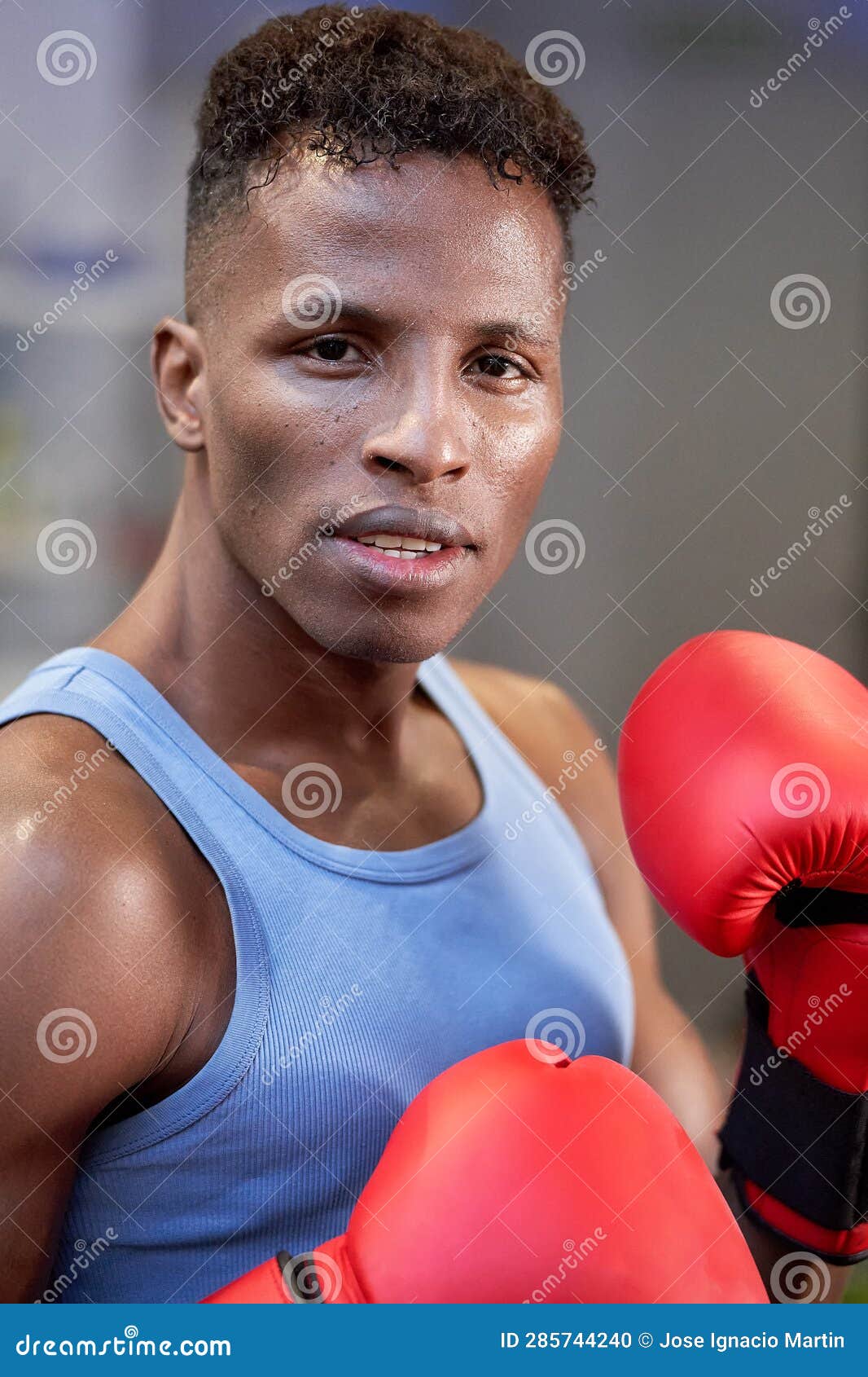 Black Boxer in Guard Stance with Boxing Gloves Stock Photo - Image of ...