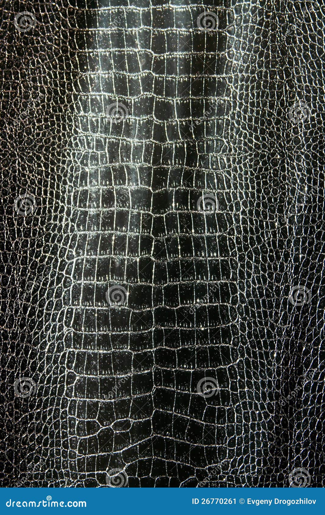 Black Brilliant Crocodile Leather Stock Image - Image of grooved ...