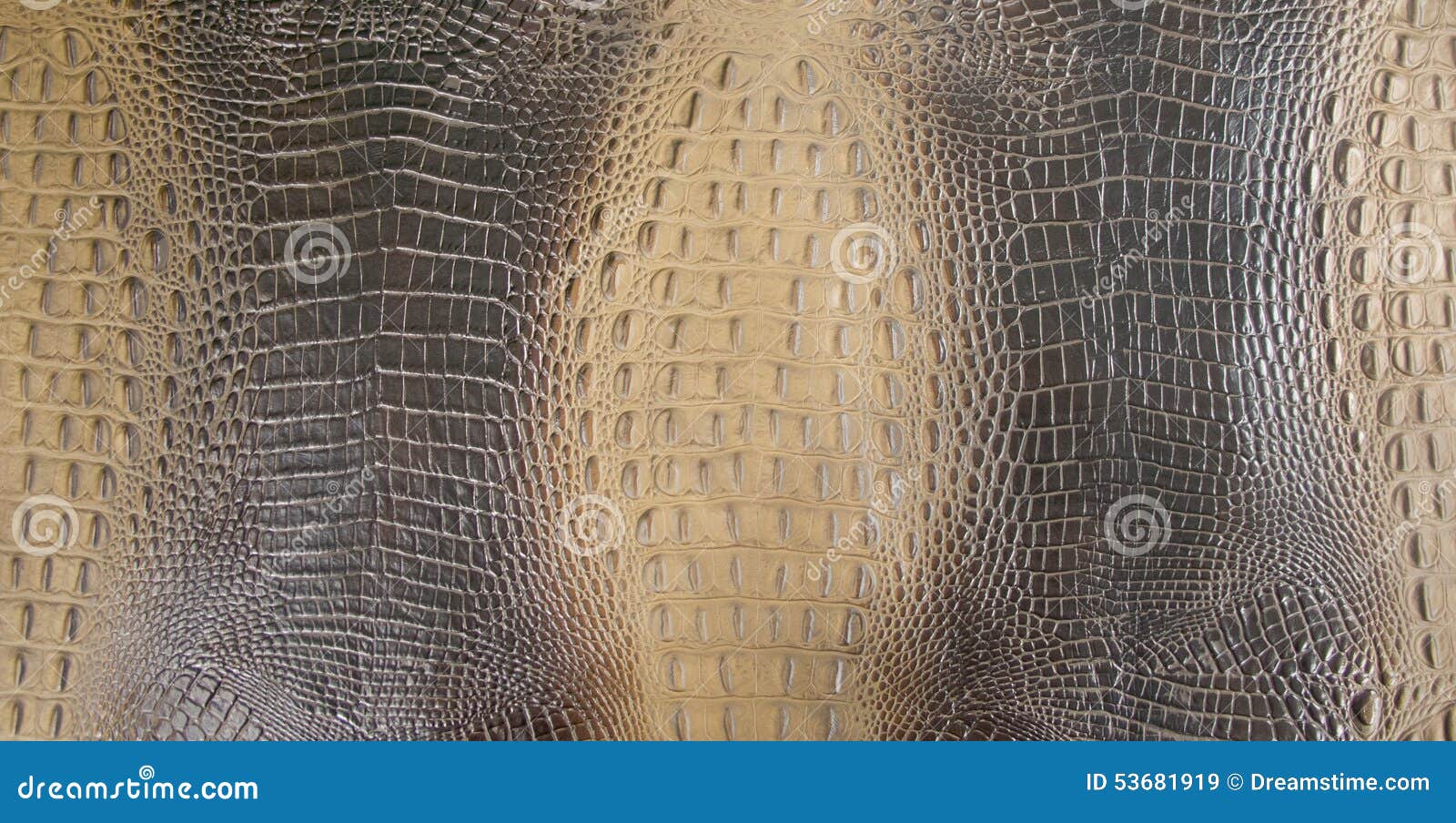 Black/Brown Colored Embossed Gator Back Leather Texture Stock Image ...