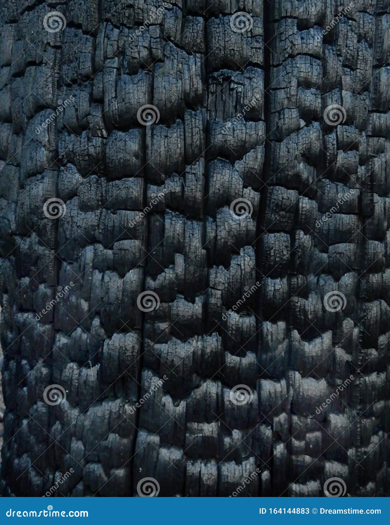 Black Burnt Pine Tree Trunk. Stock Image - Image of birch, golden ...