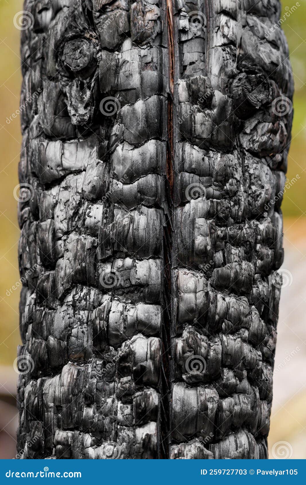Black Burnt Log of a House Burned by Fire. Charcoal Wood Texture Stock ...