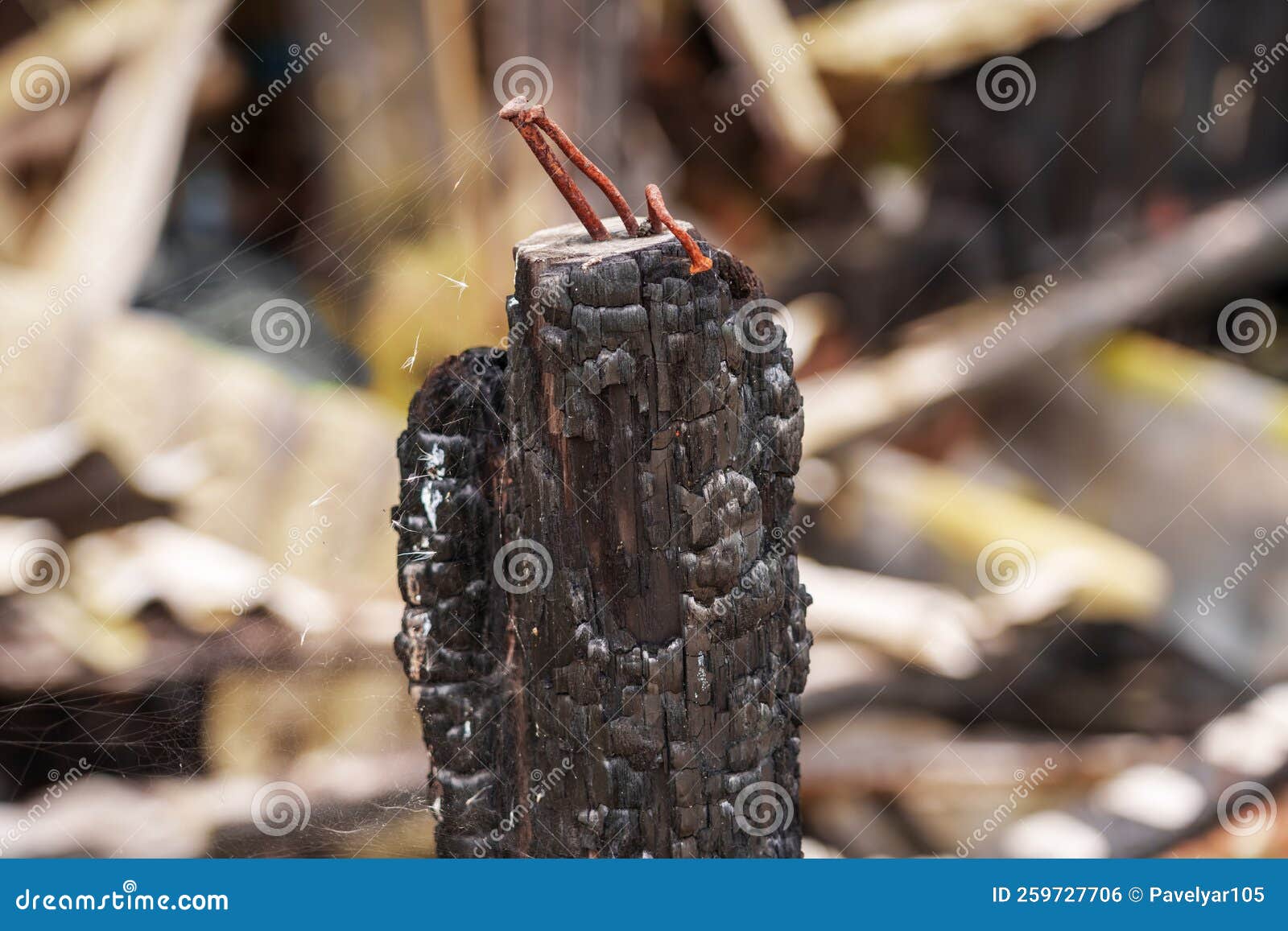Black Burnt Log of a House Burned by Fire. Charcoal Wood Texture Stock ...