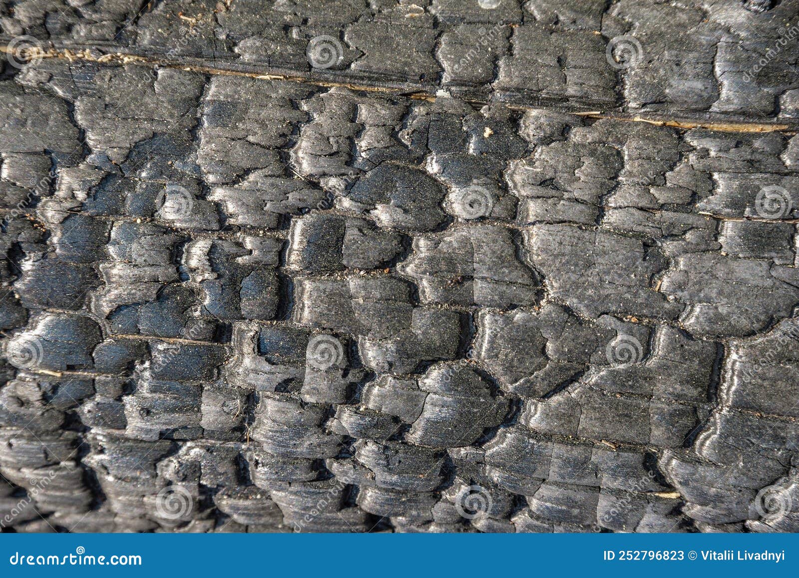 Black burnt tree trunk stock image. Image of surface - 252796823