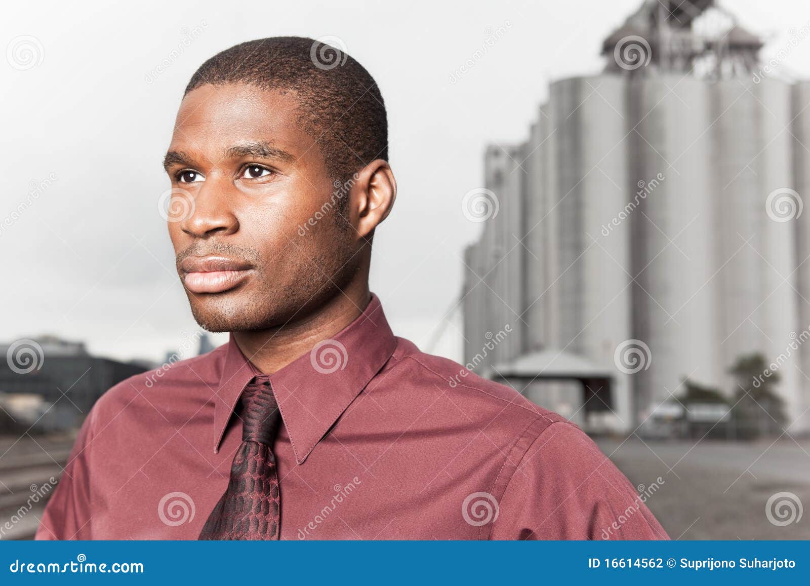 Black businessman stock photo. Image of horizontal, factory - 16614562