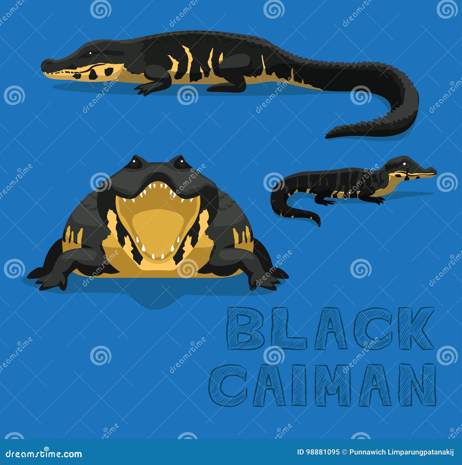 Giant Black Caiman