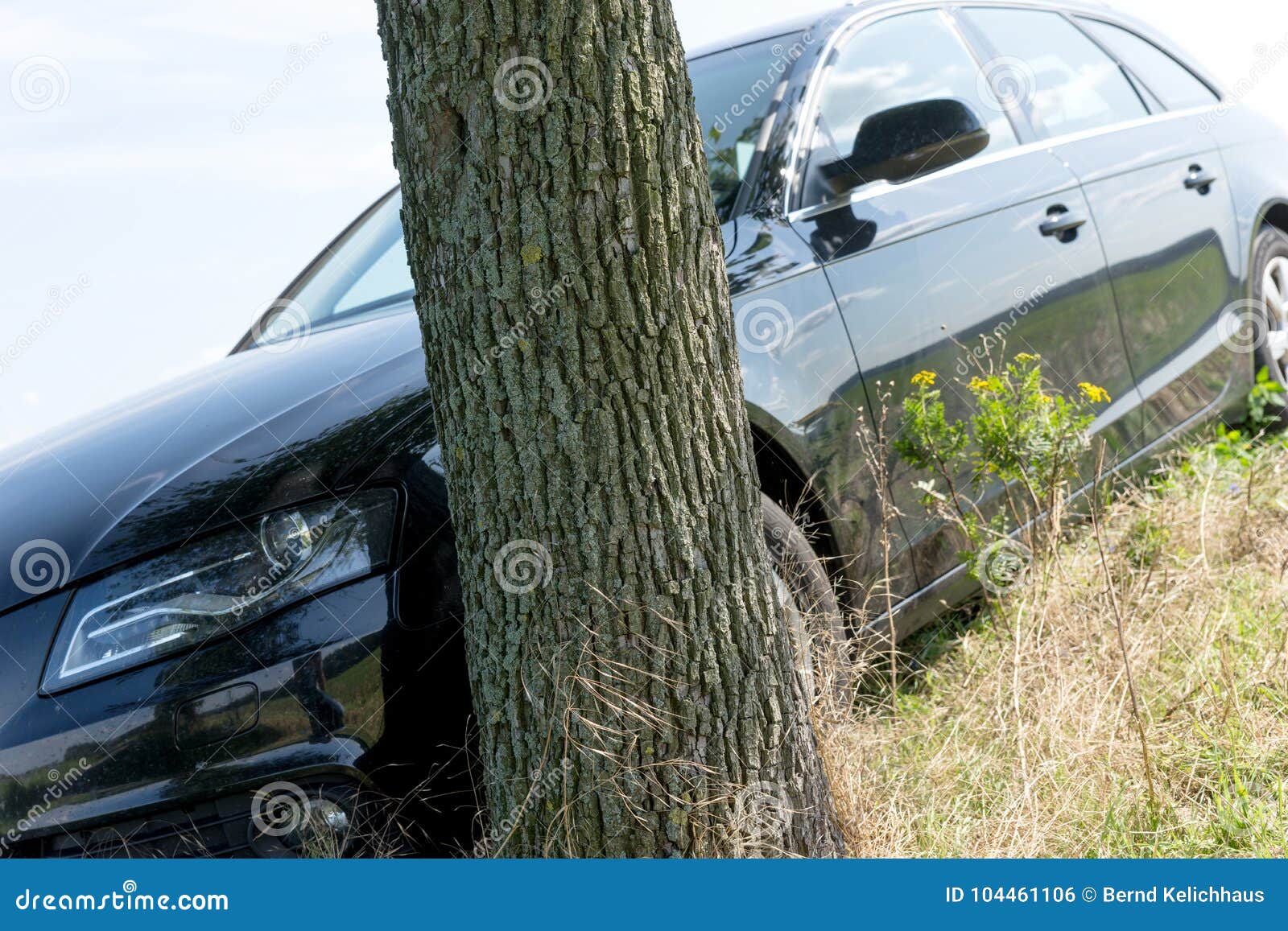 Black Car Accident Hit the Tree Stock Photo - Image of insurance ...