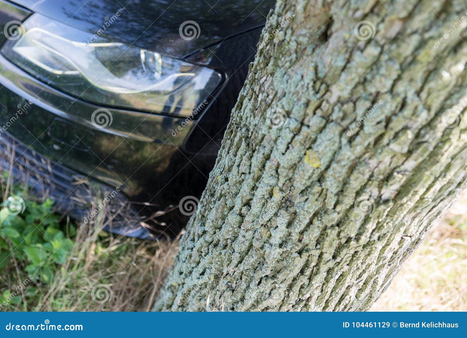 Black Car Accident Hit the Tree Stock Image - Image of insurance ...