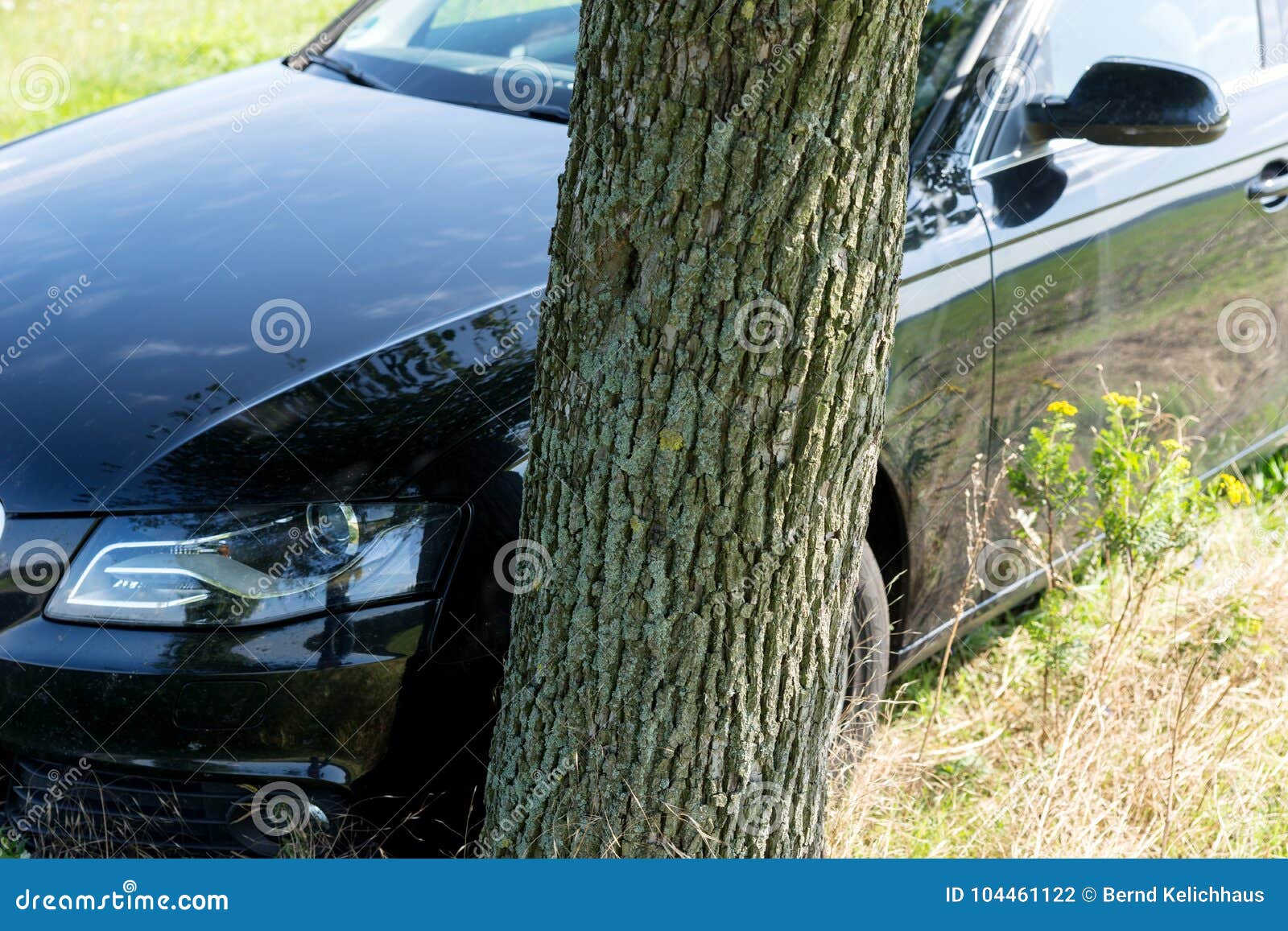 Black Car Accident Hit the Tree Stock Photo - Image of failure ...