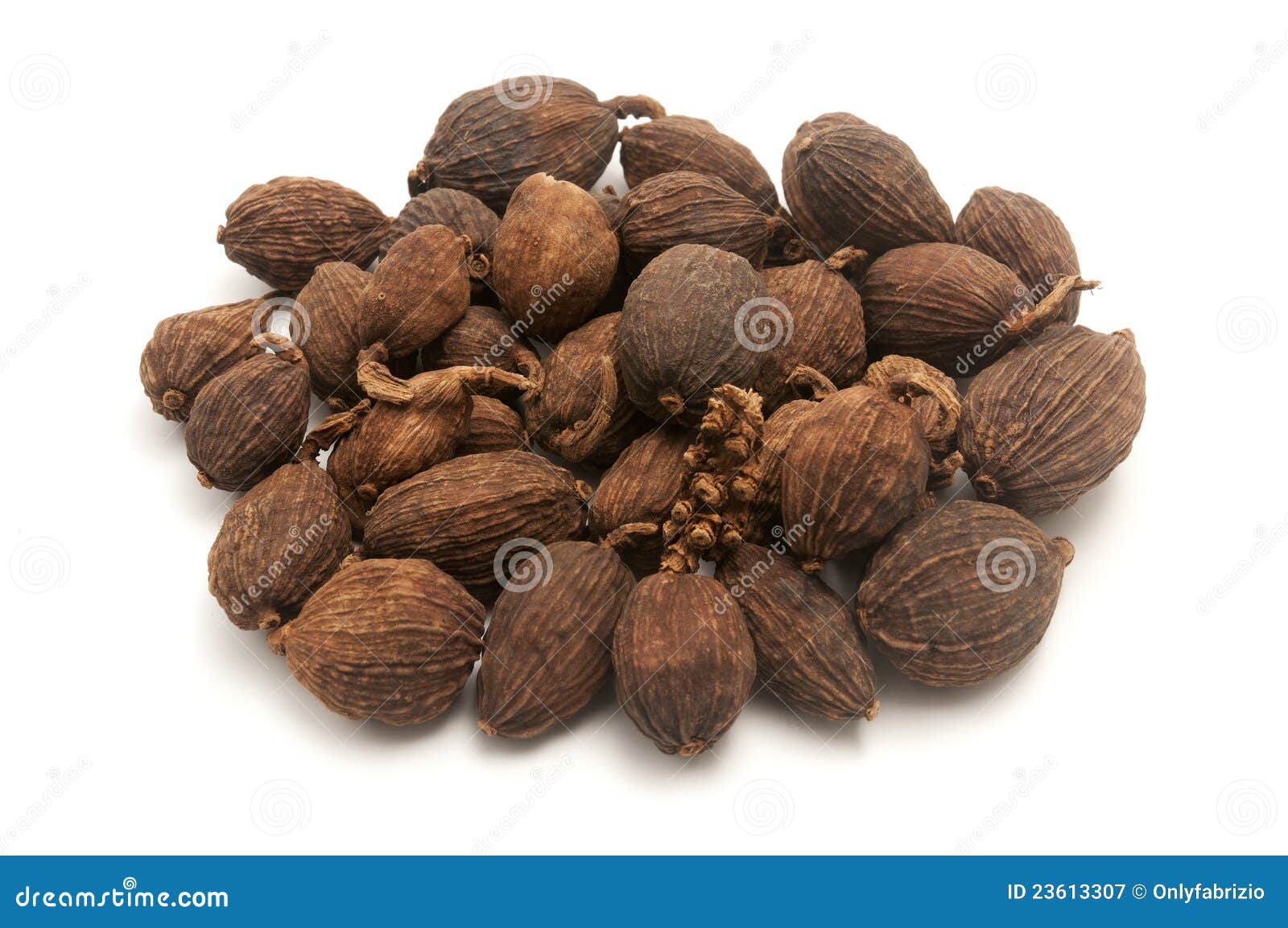 Black Cardamom, Also Known As Hill Cardamom, Bengal Cardamom, Greater ...