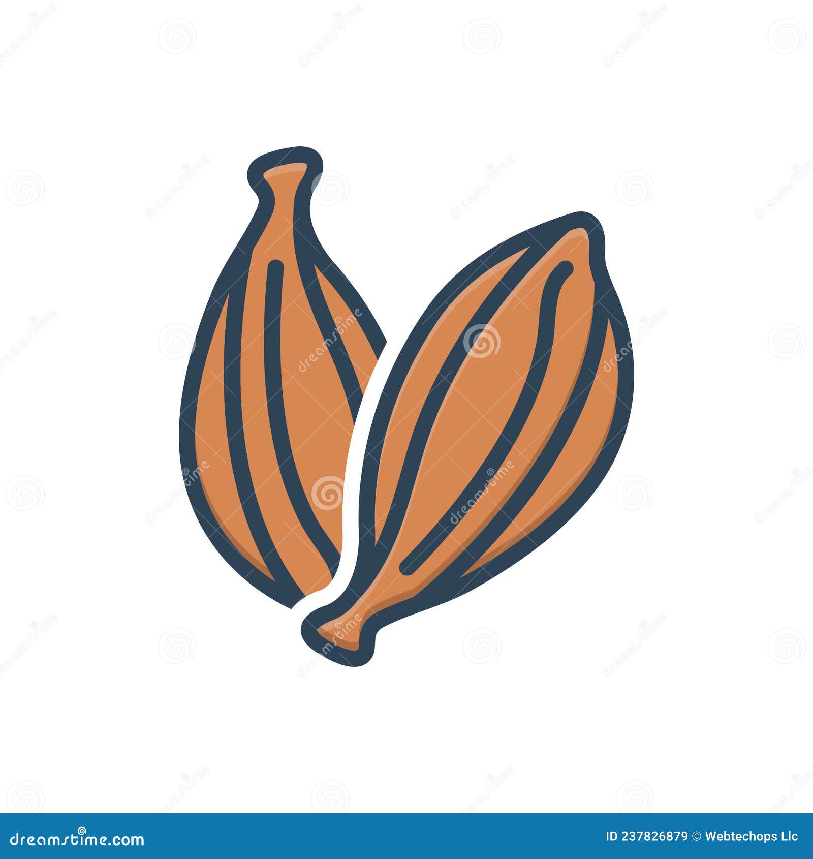 Color Illustration Icon for Black Cardamom, Spice and Flavor Stock ...