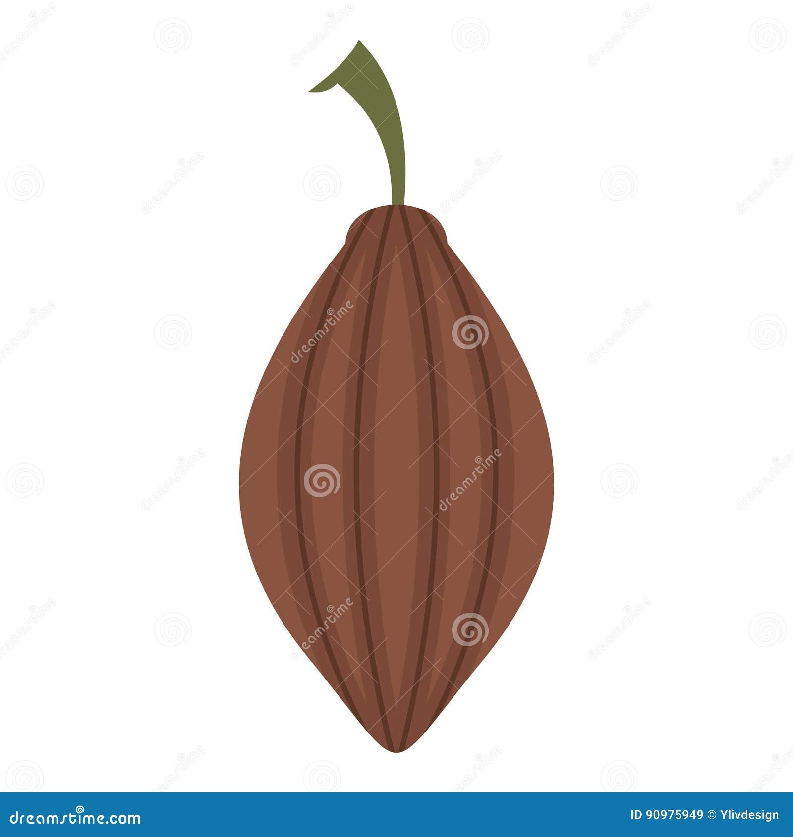 Black Cardamom Icon Isolated Stock Vector - Illustration of black ...