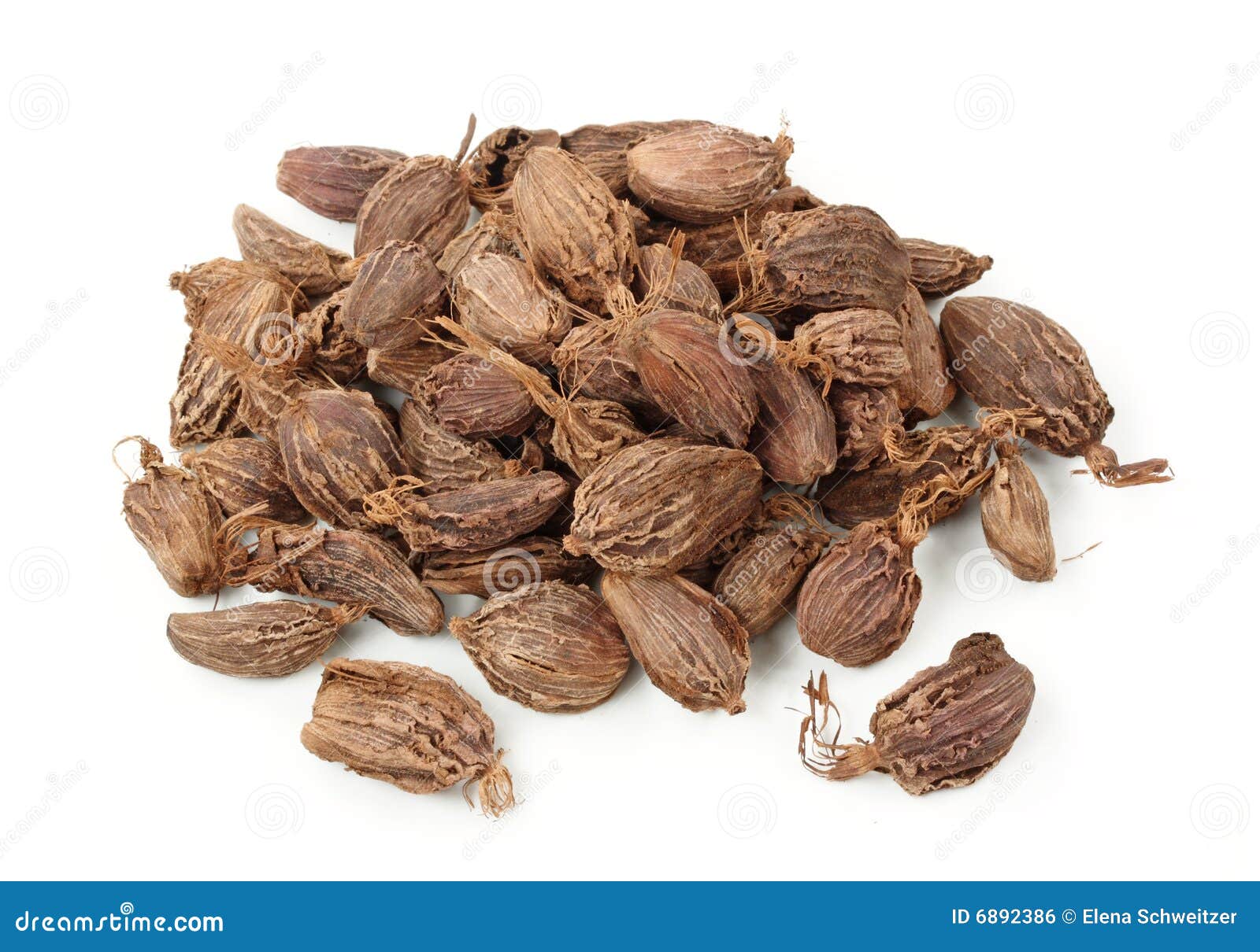 Black Cardamom Is Red Stemmed, Tall, Clustering Plant Royalty-Free ...