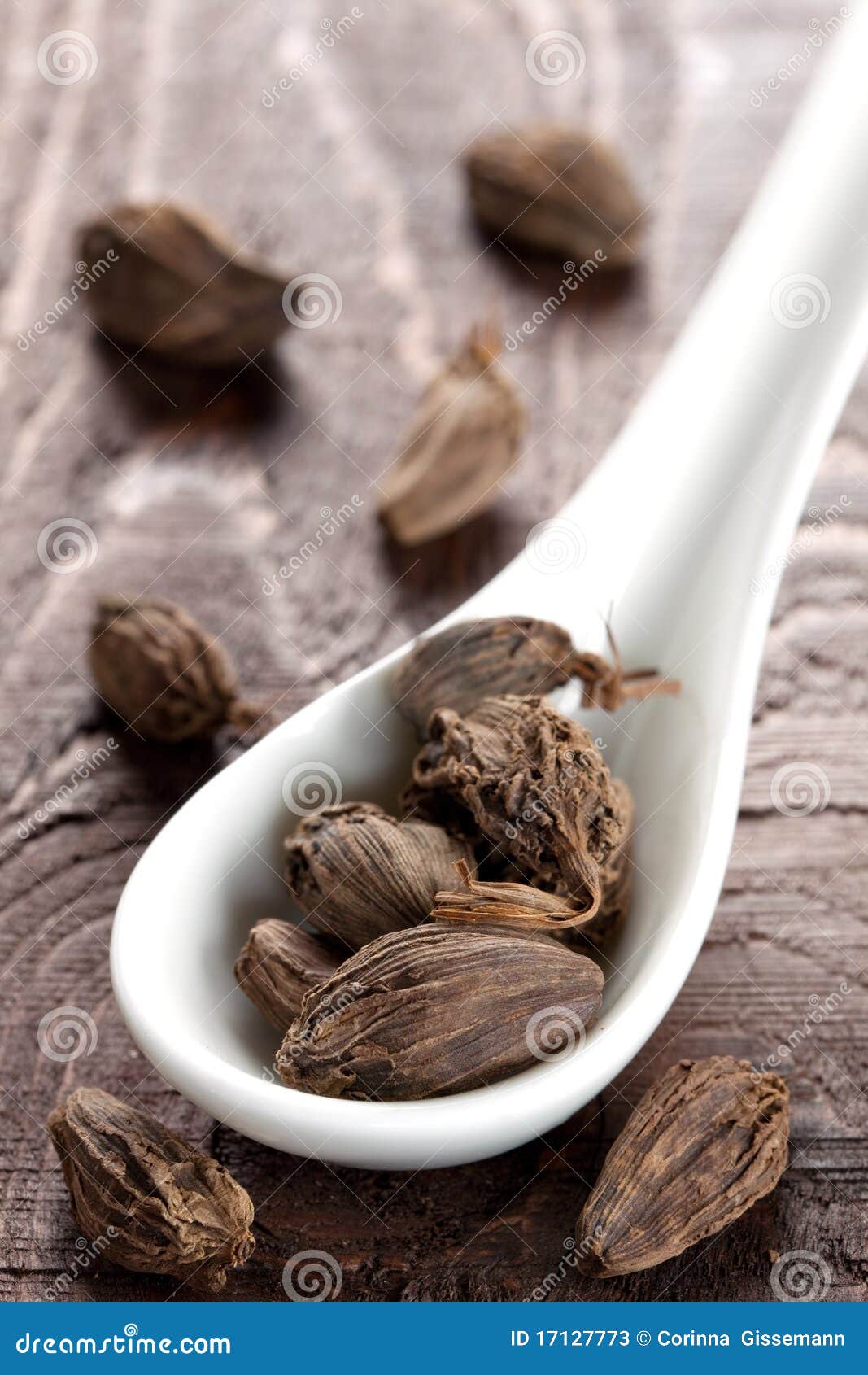 Black cardamom on spoon stock image. Image of season - 17127773