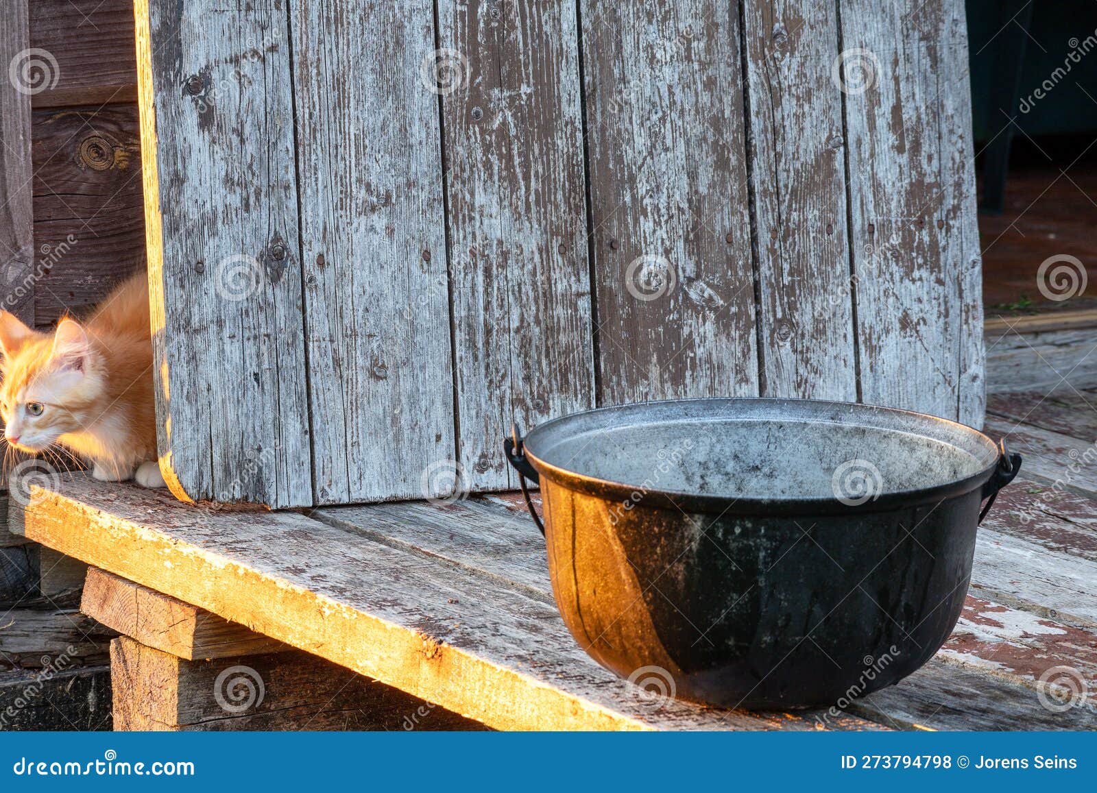 Black Cast Iron Bucket on Wooden Boards Stock Photo - Image of soil ...