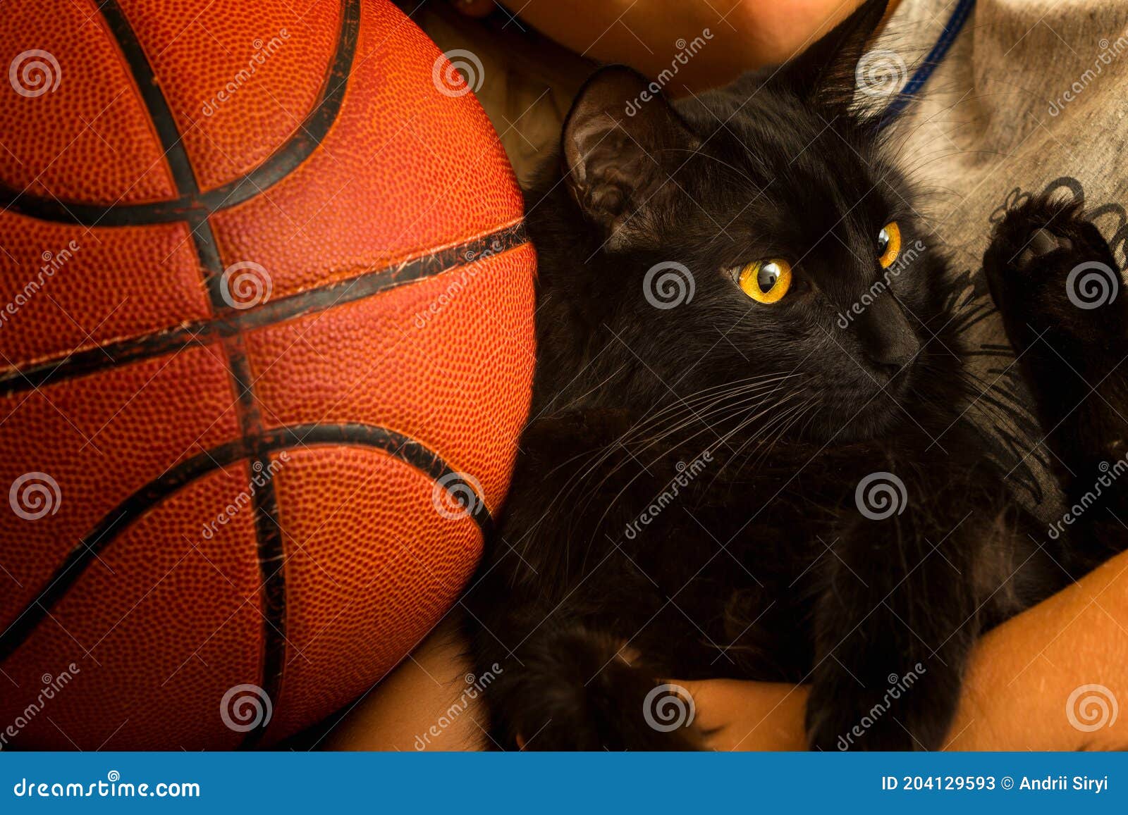 Black Cat with a Basketball Ball. Stock Image - Image of cute, tease ...