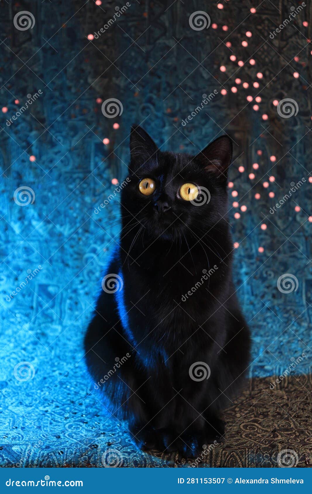 Black Cat with Big Yellow Eyes on a Blue Background Stock Image - Image ...
