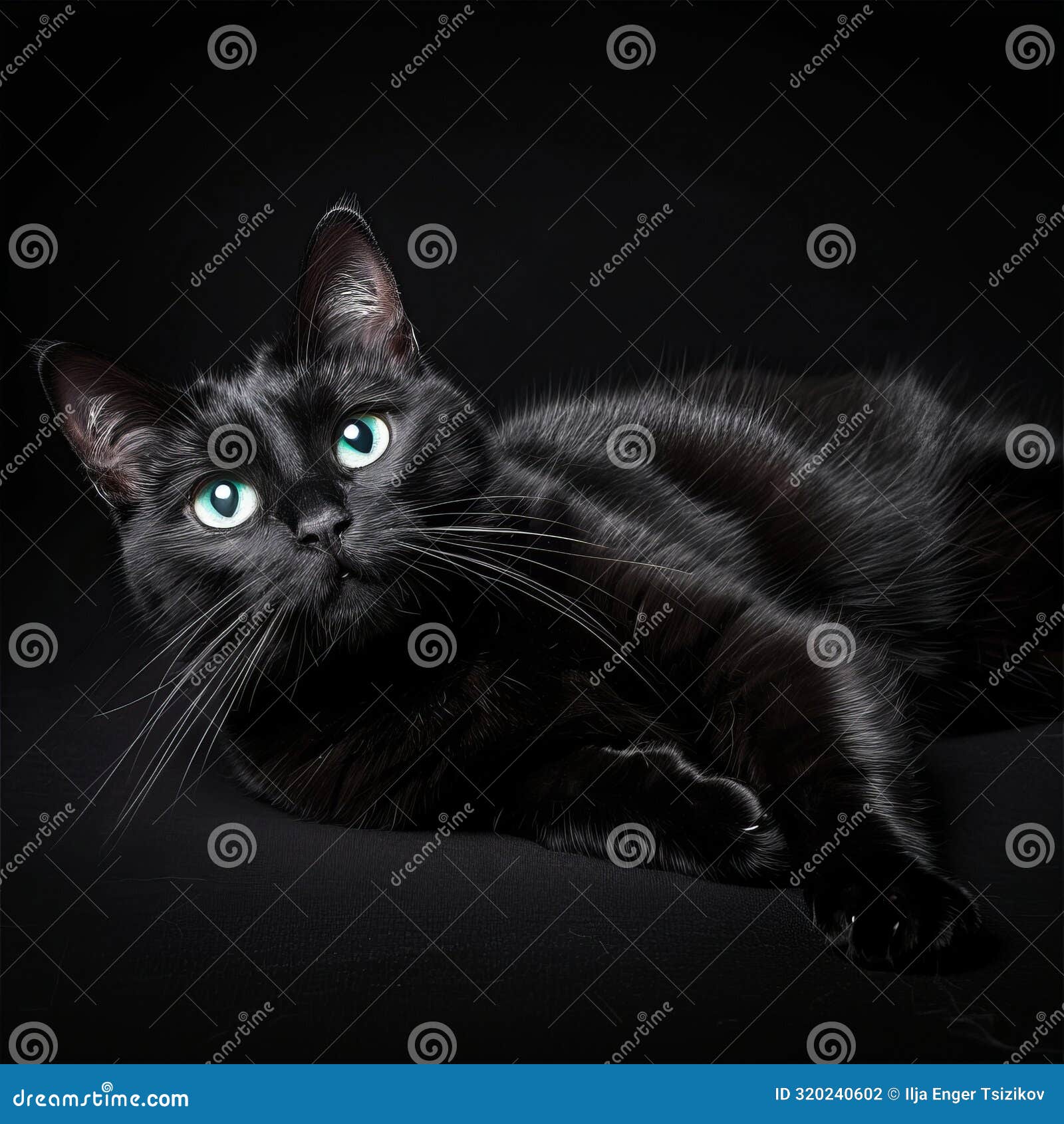 Black Cat with Blue Eyes Captured in High Detail on Solid Black ...