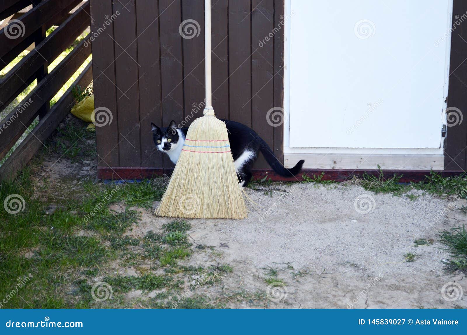 Black cat and broom. stock image. Image of magic, fence - 145839027