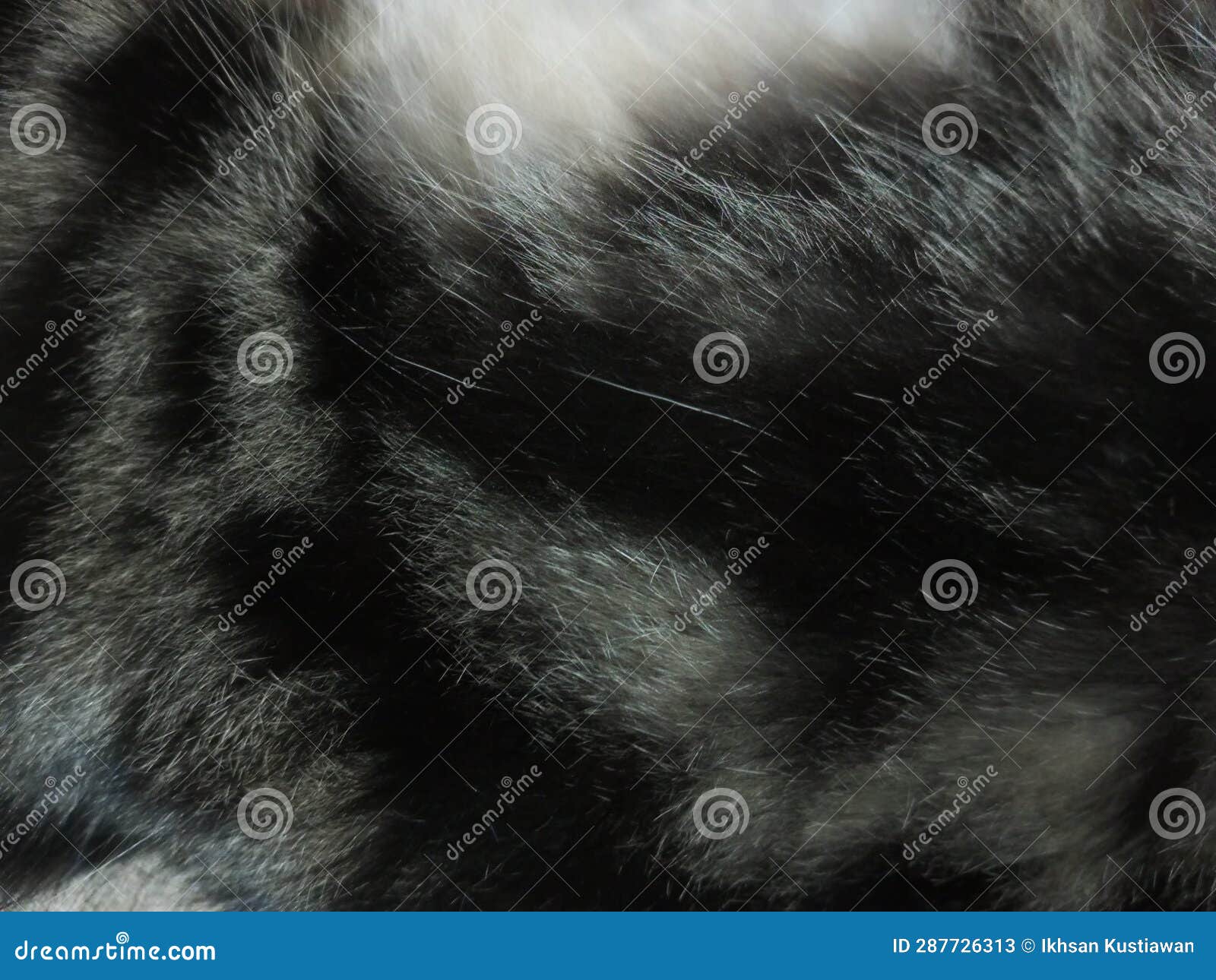 Black Cat Fur for Texture or Background Stock Image - Image of black ...