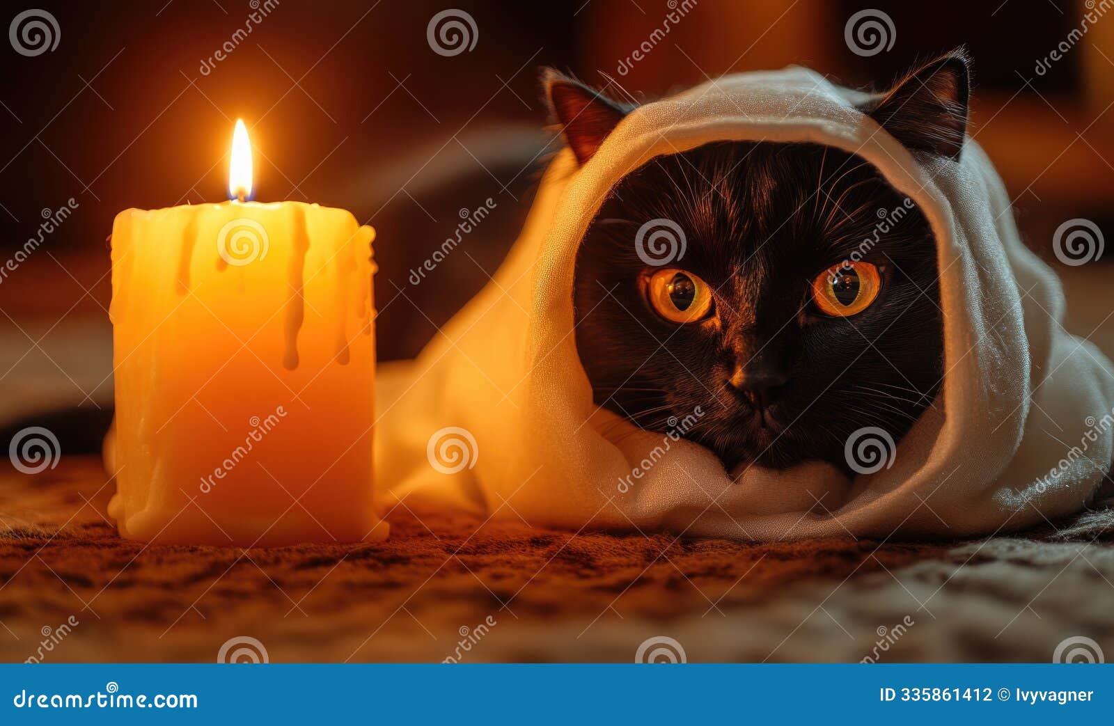 A Black Cat in a Ghost Costume Stock Photo - Image of cozy, lazy: 335861412