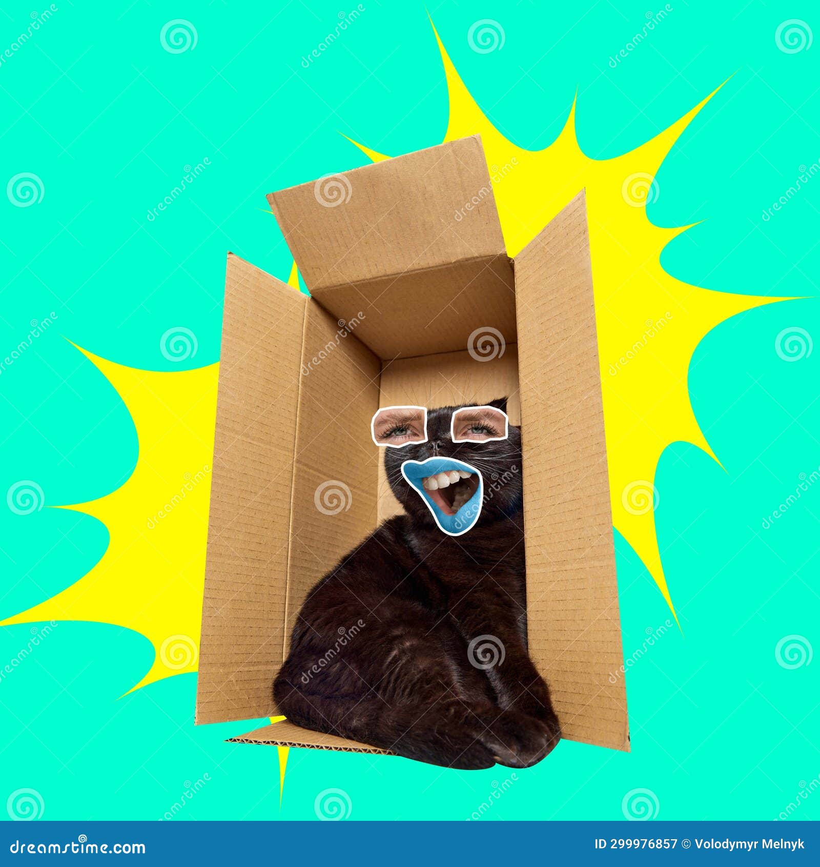 Black Cat With Human Eyes And Mouth Sitting In Box Against Green