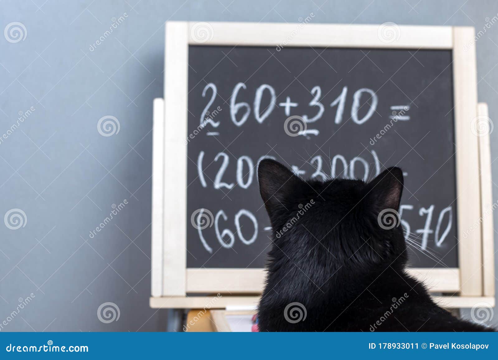 The Black Cat Looks at the Blackboard Stock Image - Image of drawing ...