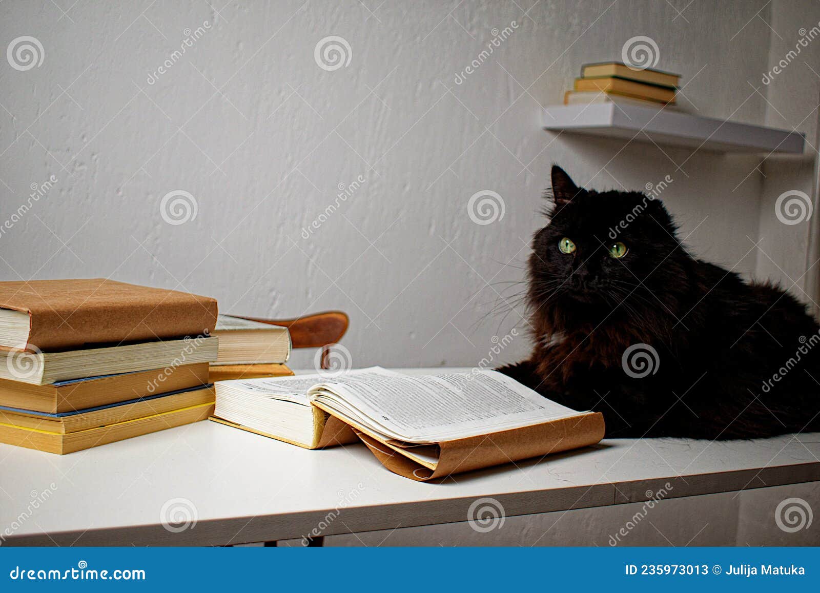 Black Cat Lying on a White Table Next To a Stack of Books. the Cat is ...