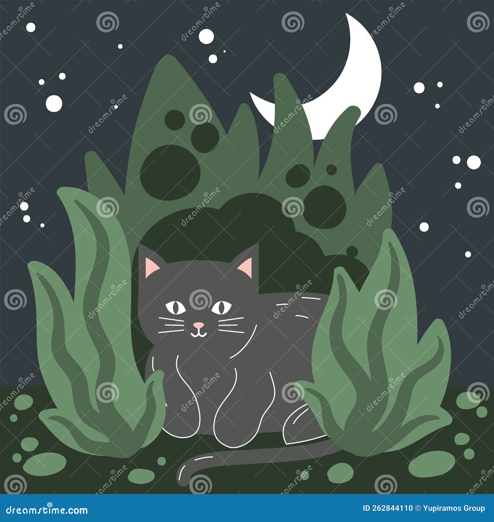 Black cat in the night stock vector. Illustration of midnight - 262844110