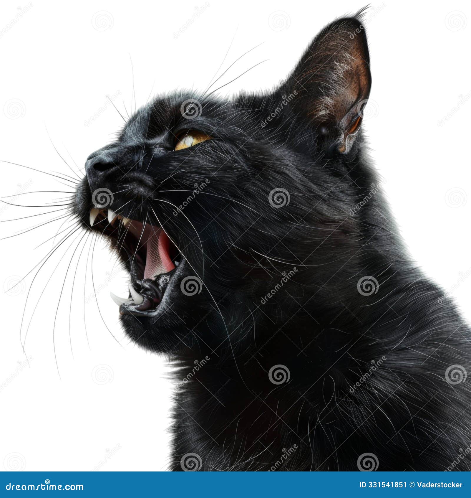 A Black Cat with an Open Mouth and Sharp Teeth Stock Illustration ...
