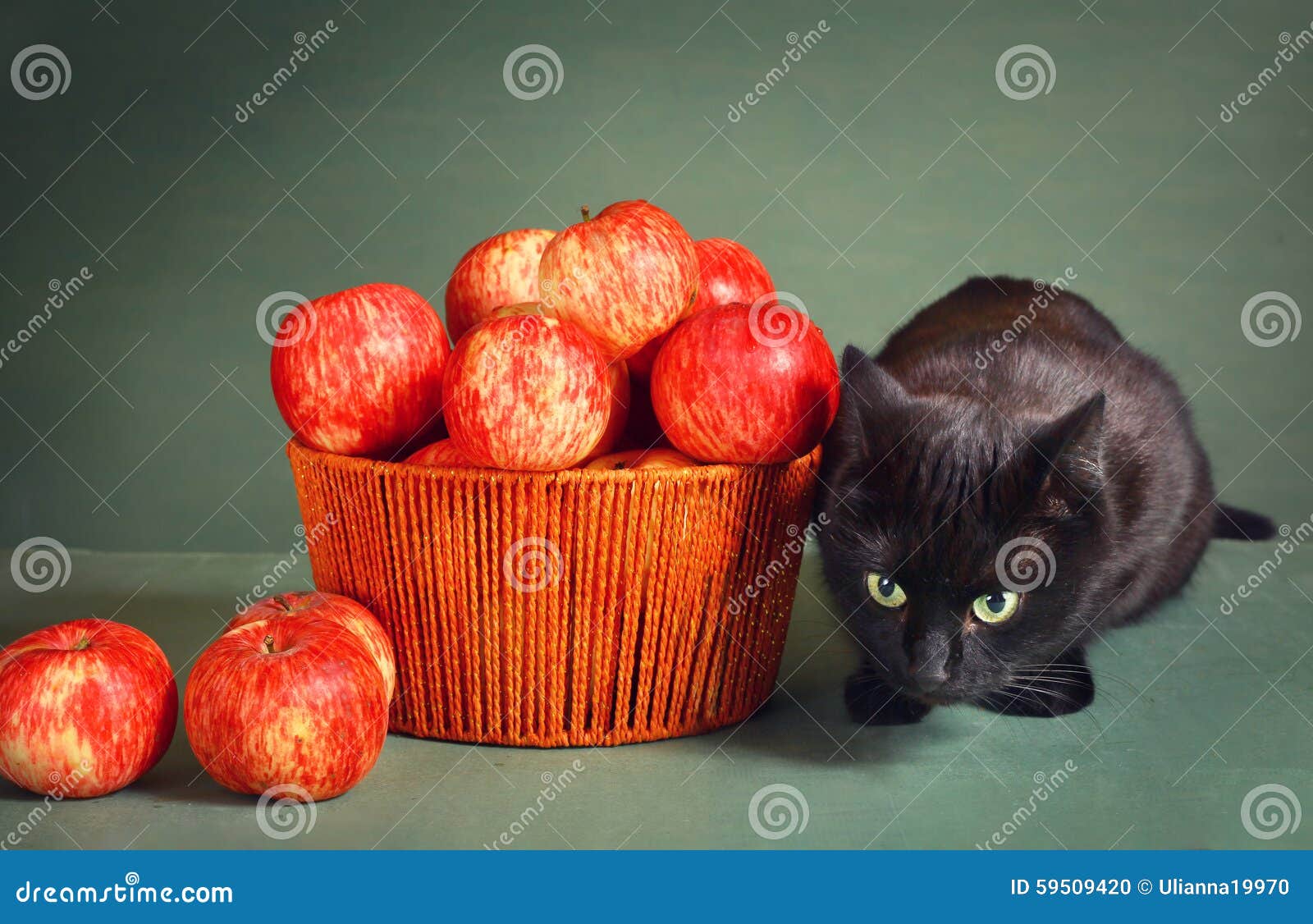 Black Cat Red Apples Blue Background Stock Photos - Free & Royalty-Free ...