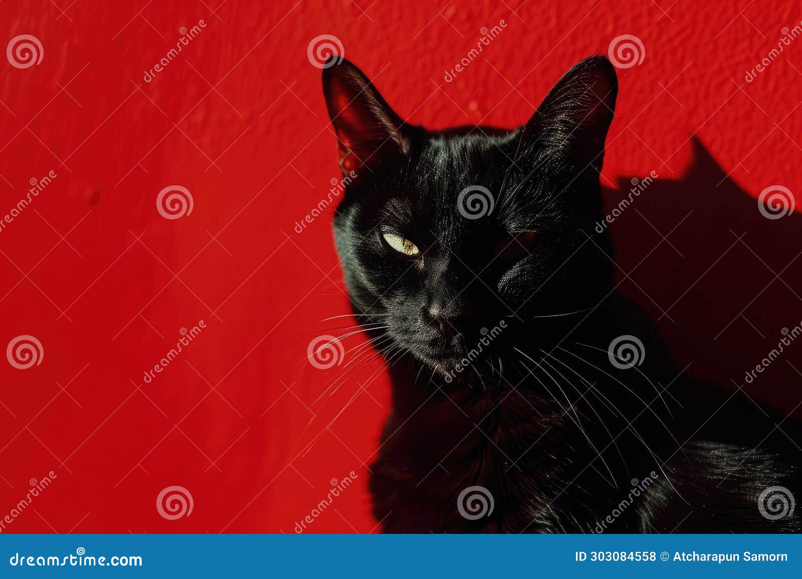 Royalty Free Images, Cartoons, Illustrations And Photos Designed By ...