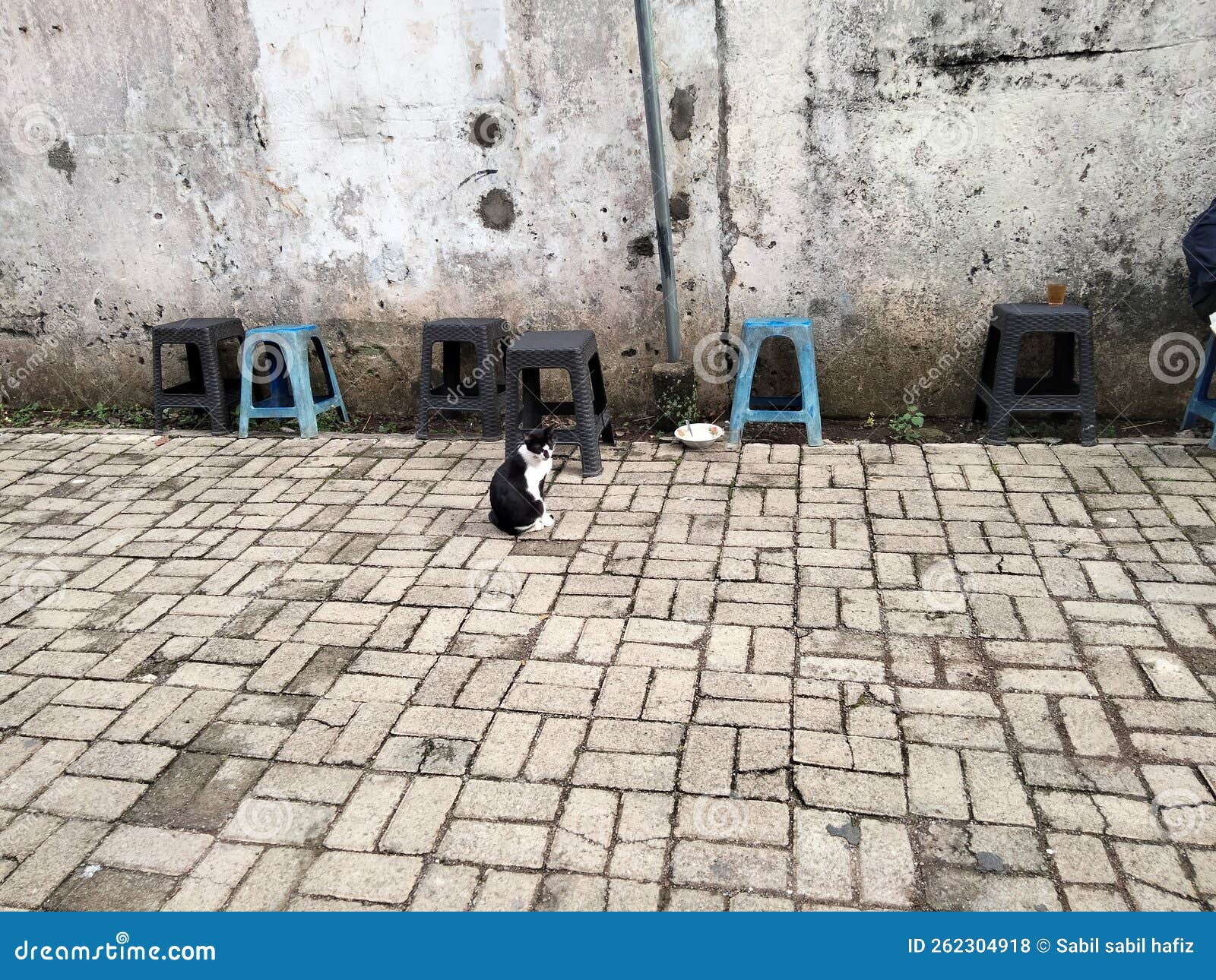 A Black Cat is Relaxing on a Quiet Roadside Stock Photo - Image of ...