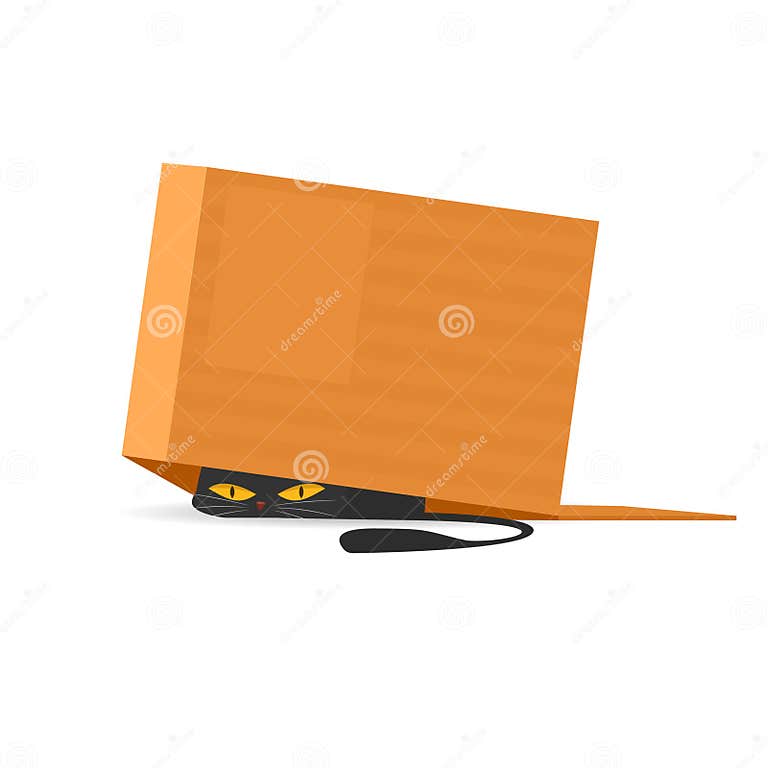 Black Cat Under Cardboard Box Stock Vector - Illustration of playful ...