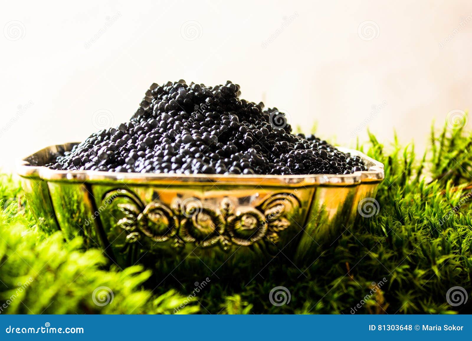 Black Caviar, Luxurious Delicacy Appetizer. Stock Photo - Image of ...
