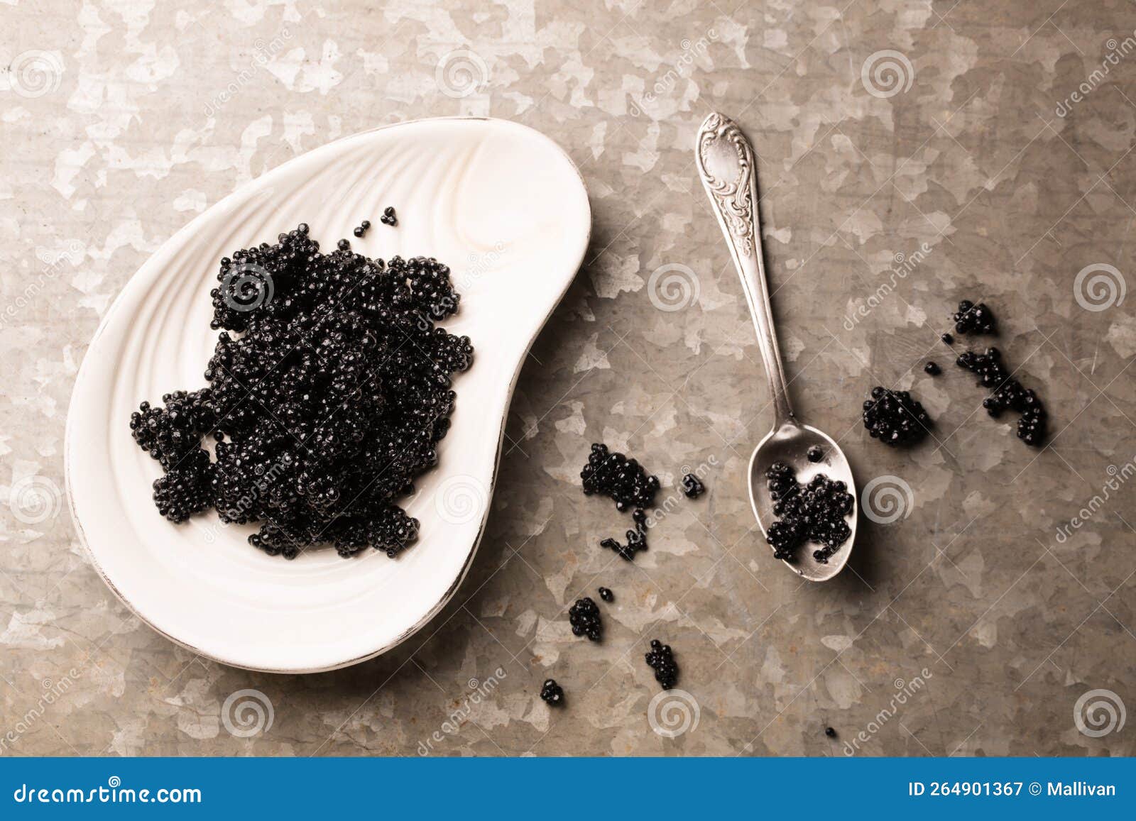 Black caviar in a plate stock image. Image of delicatessen - 264901367