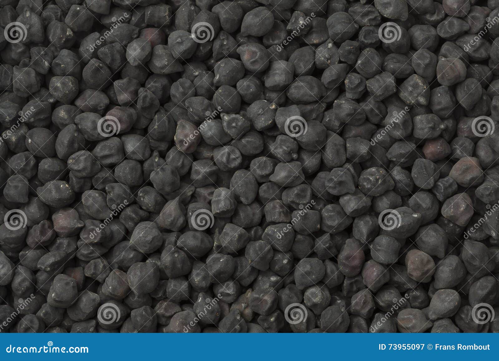 Black Ceci neri chickpeas stock image. Image of natural - 73955097
