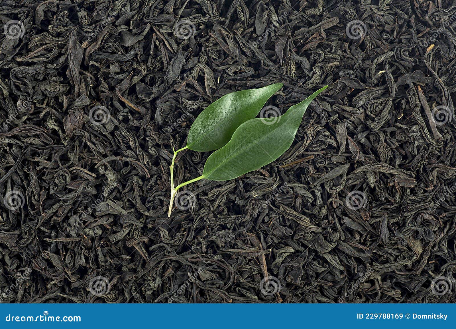 Black Ceylon Tea - Top View of Black Tea Background with Green Leaves ...