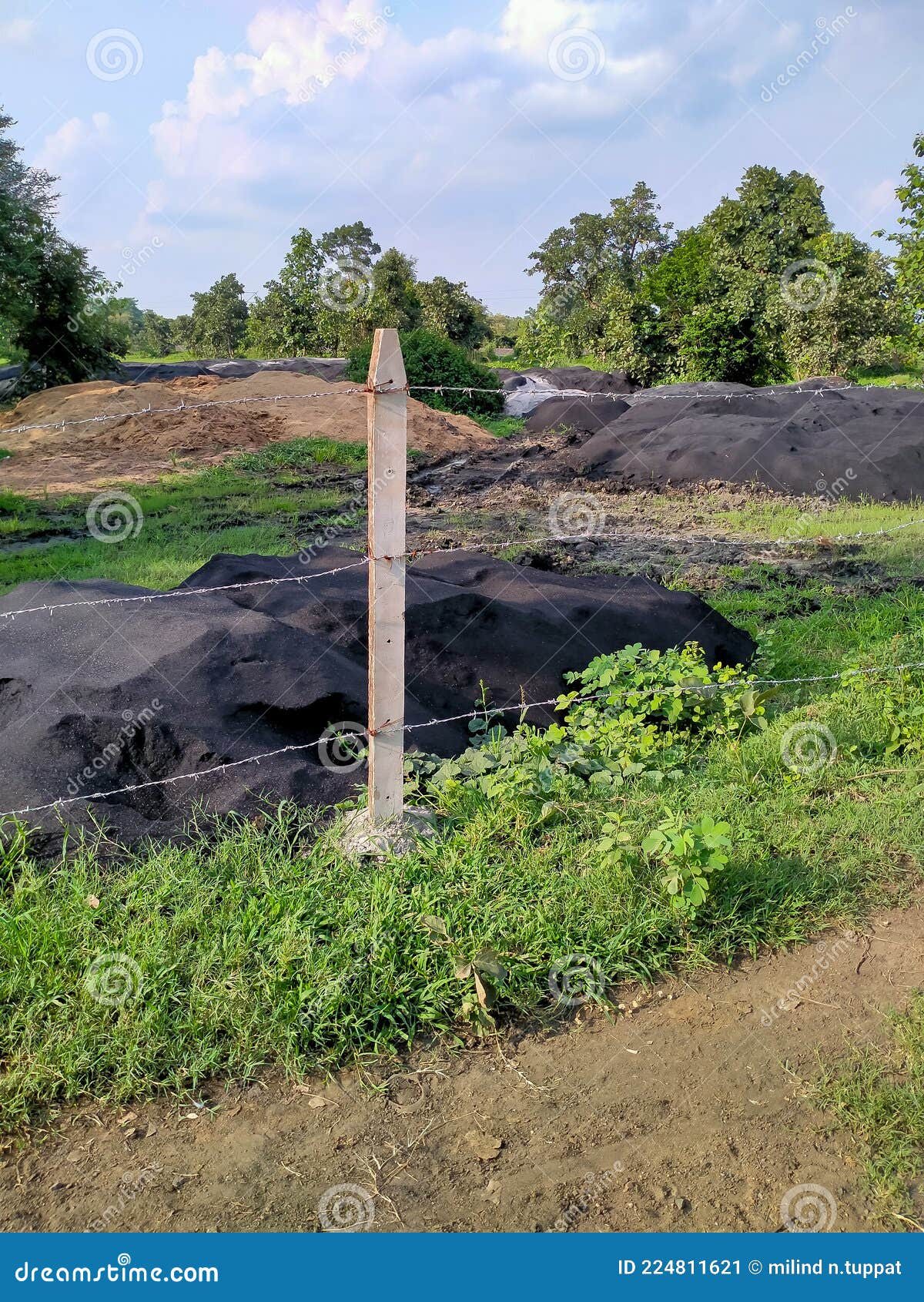 Black Chaff with Irom Compound. Stock Image - Image of soil, tree ...