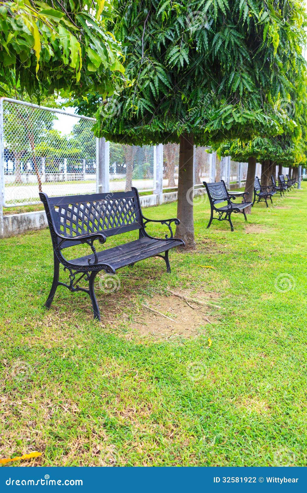 Black Chair Under Tree in Park Stock Photo - Image of nature, garden ...