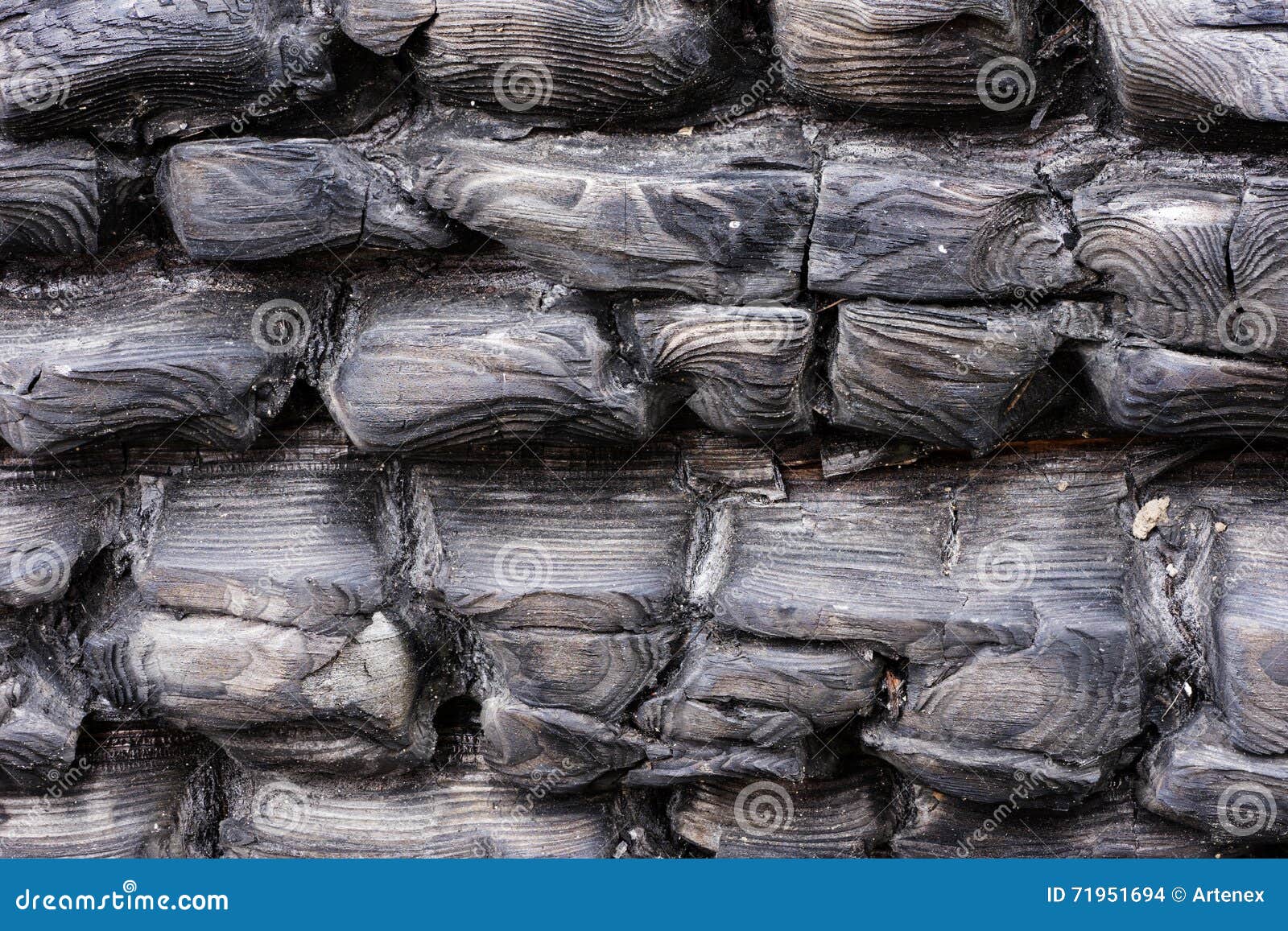 Black Charred Wood. Burned Tree Texture Background. Burnt Log Pattern ...