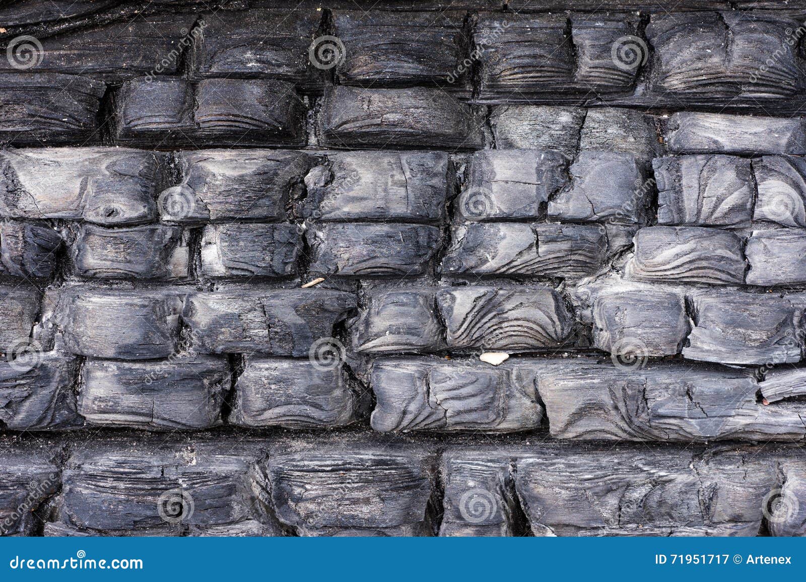 Black Charred Wood. Burned Tree Texture Background. Burnt Log Pattern ...