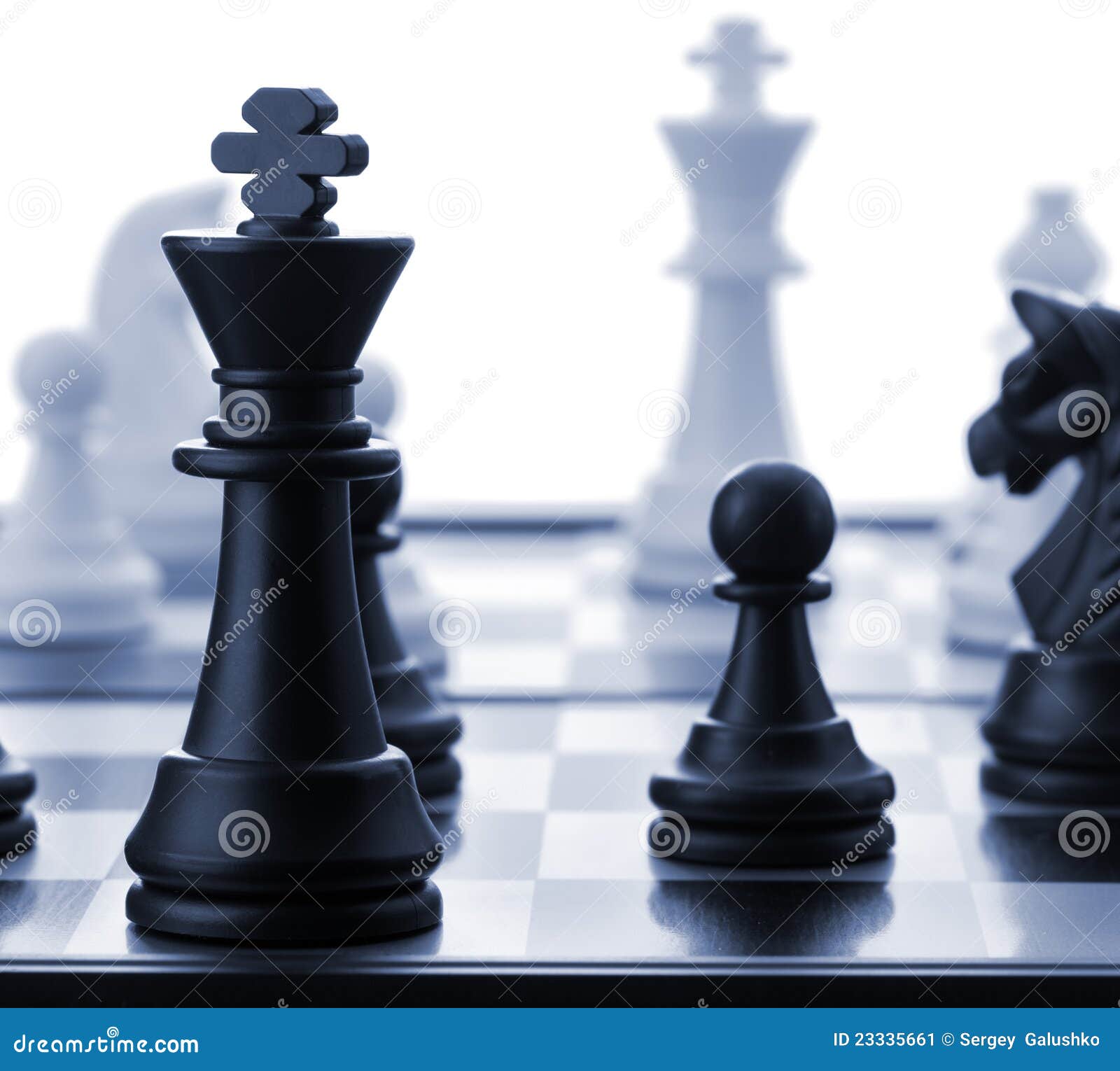 Two Black Chess Knights On A Black Background Touching Their Noses ...