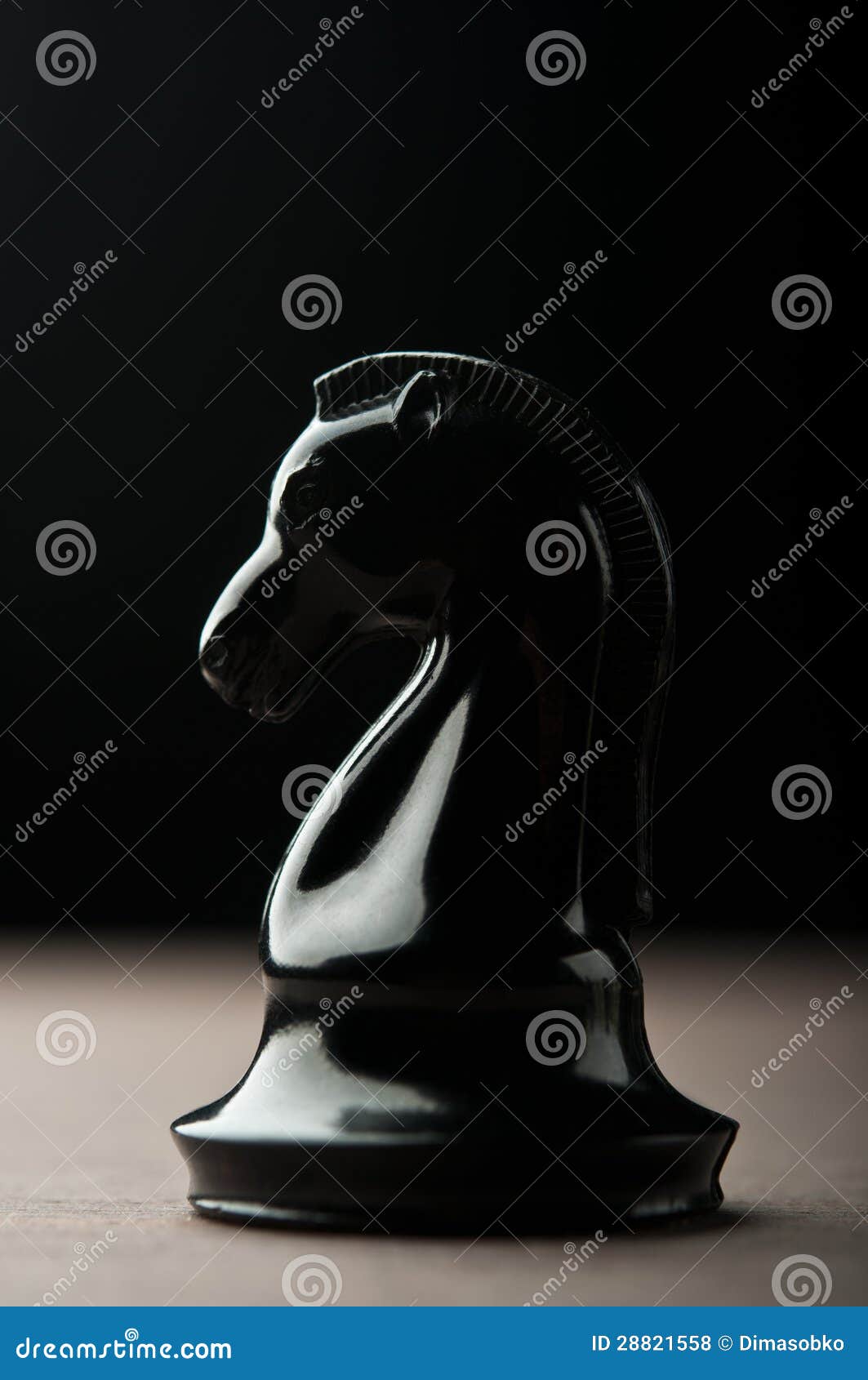 Black chess knight stock photo. Image of battle, pieces - 28821558