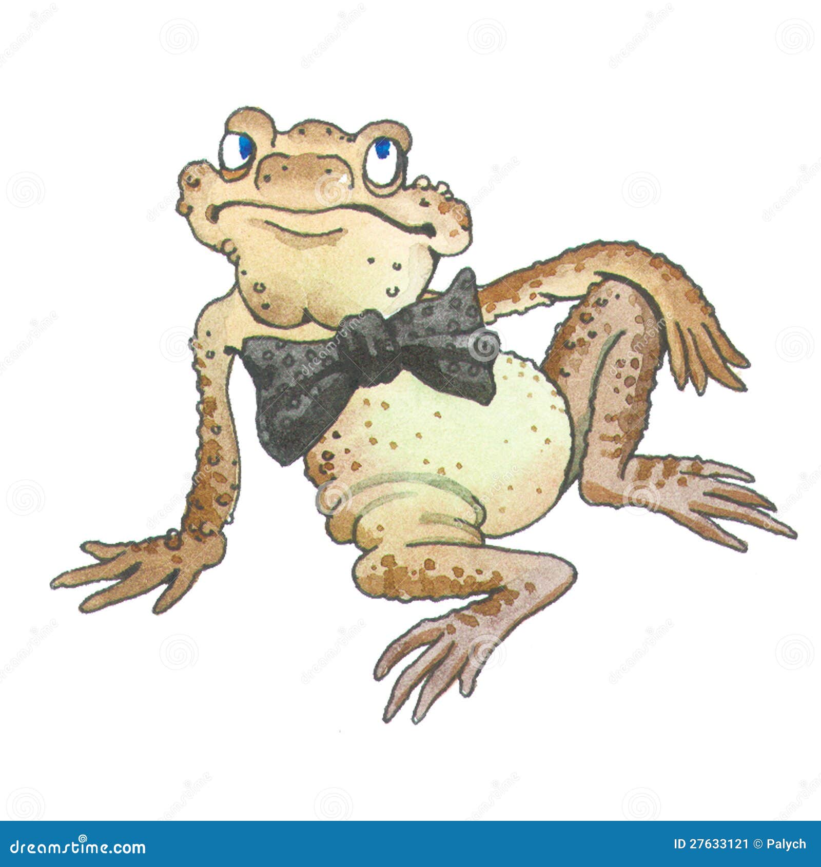 Black-chested Toad (Bufo Taitanus) Stock Illustration - Illustration of ...