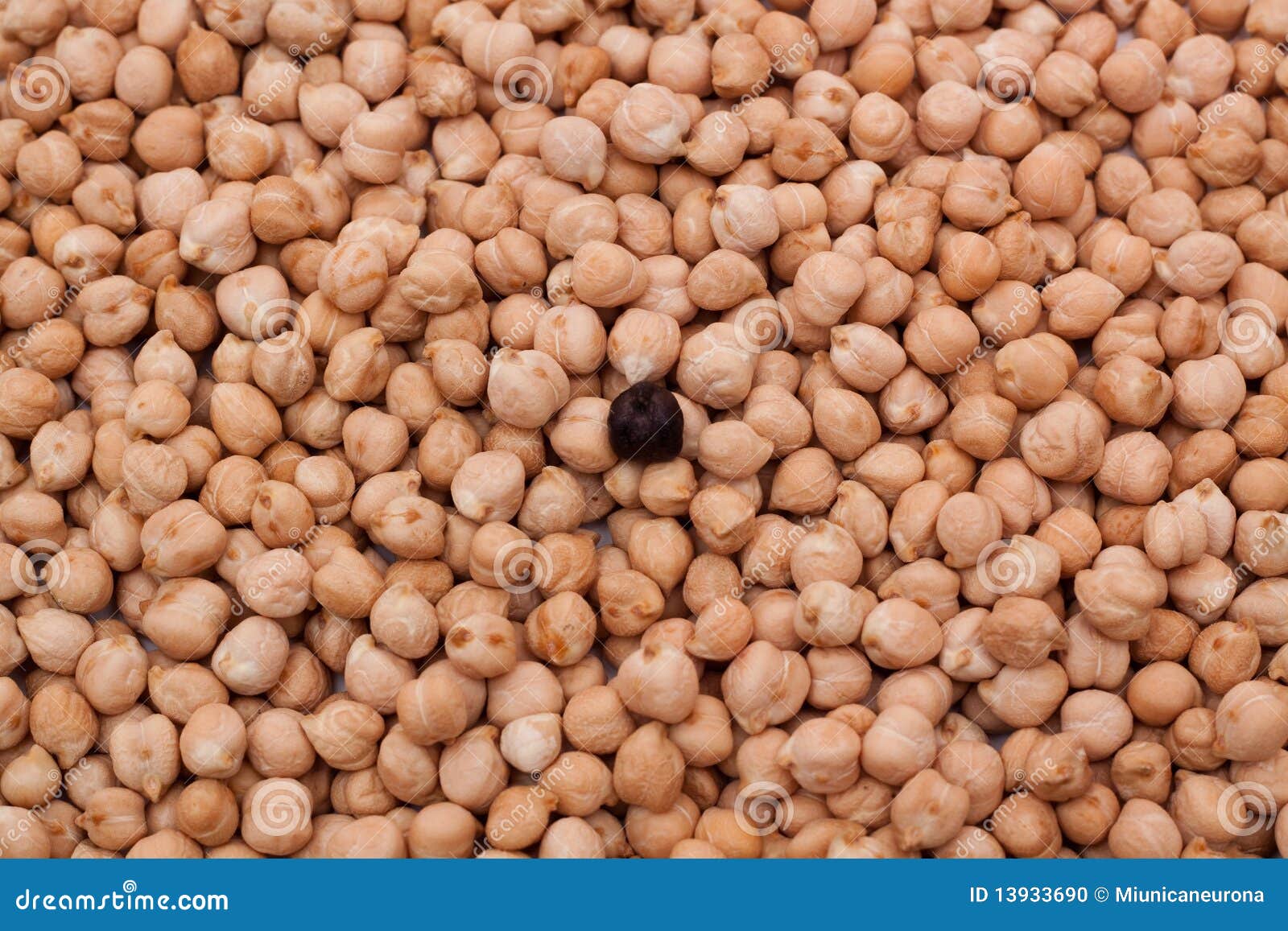 Black chick pea stock photo. Image of diet, life, color - 13933690