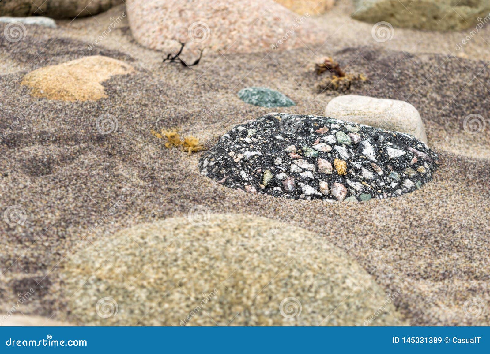 Black Clastic Sedimentary Rock, with Colorful Pebbles on a Sandy Beach ...
