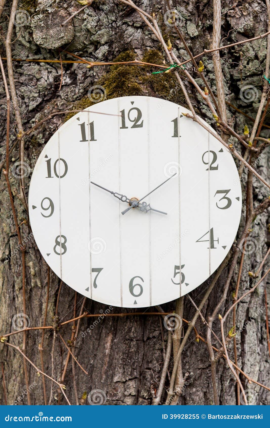 Black clock hung on a tree stock image. Image of beauty - 39928255