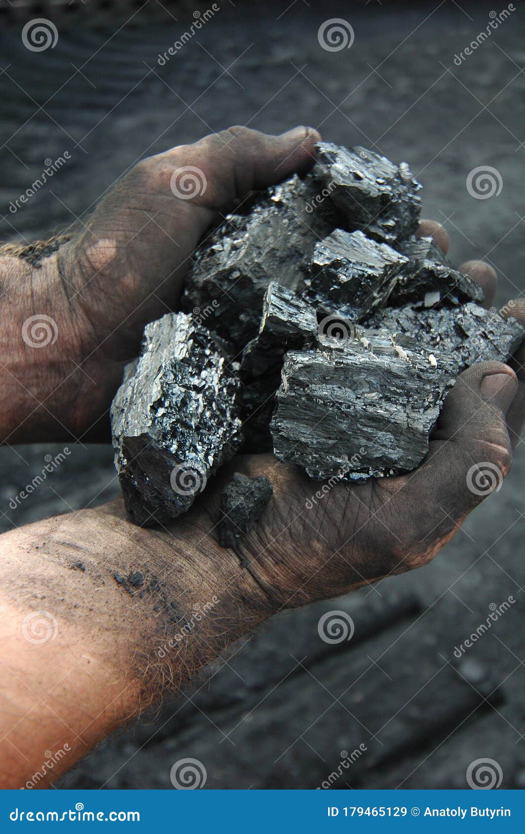 Mining, Black Gold, Coal Miner`s Hands! Stock Image - Image of energy ...