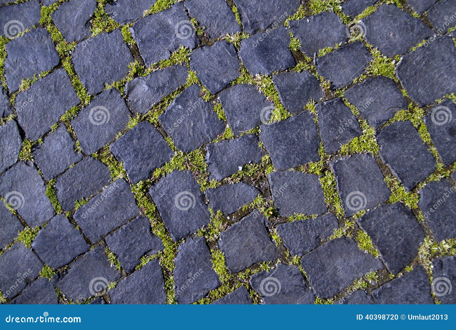 Black Cobblestone Road Covered with Moss Stock Photo - Image of floor ...